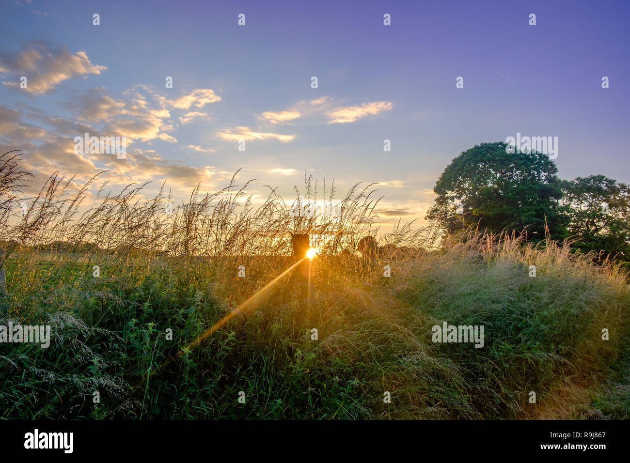 Normandy landscape hi-res stock photography and images - Alamy