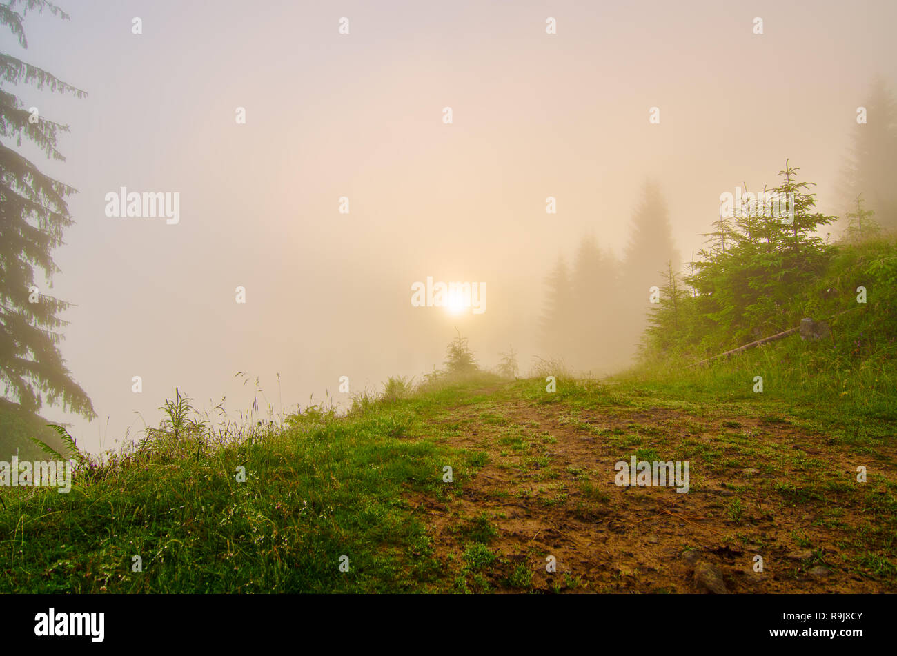 Foggy morning landscape Stock Photo - Alamy