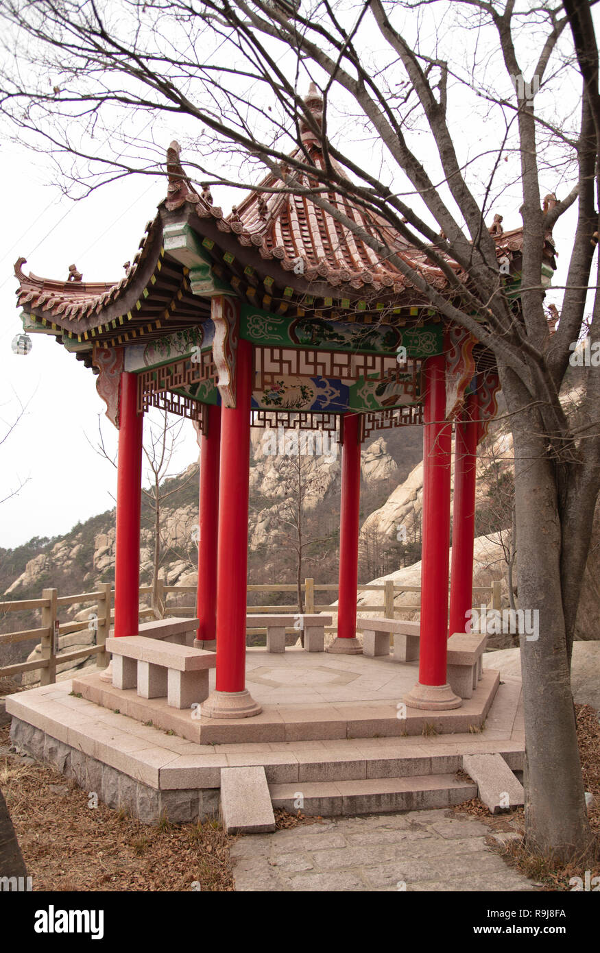 Sacred Trees On The Grounds Of Taiqing Gong Temple