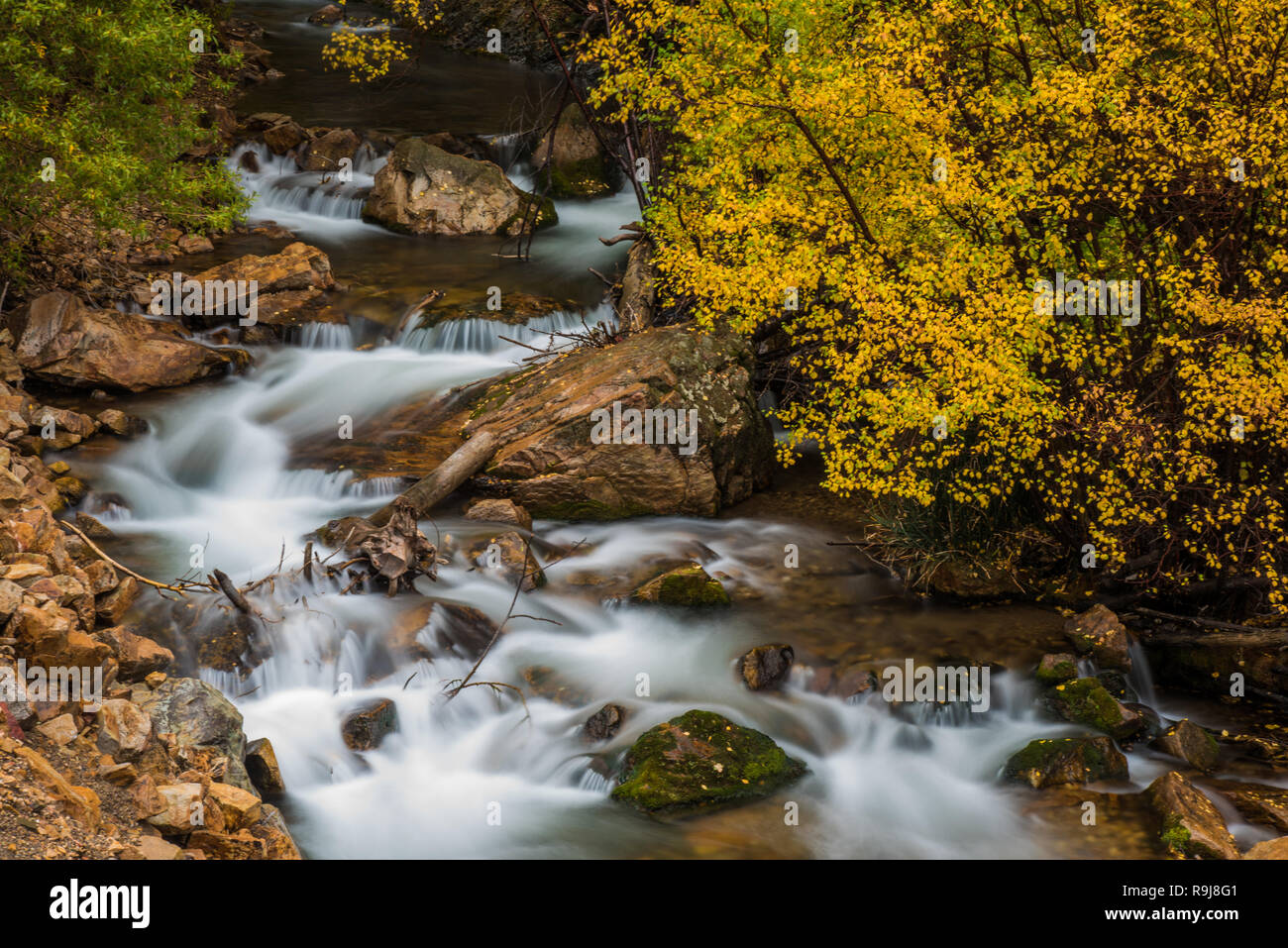 Contrasting water colors hi-res stock photography and images - Alamy