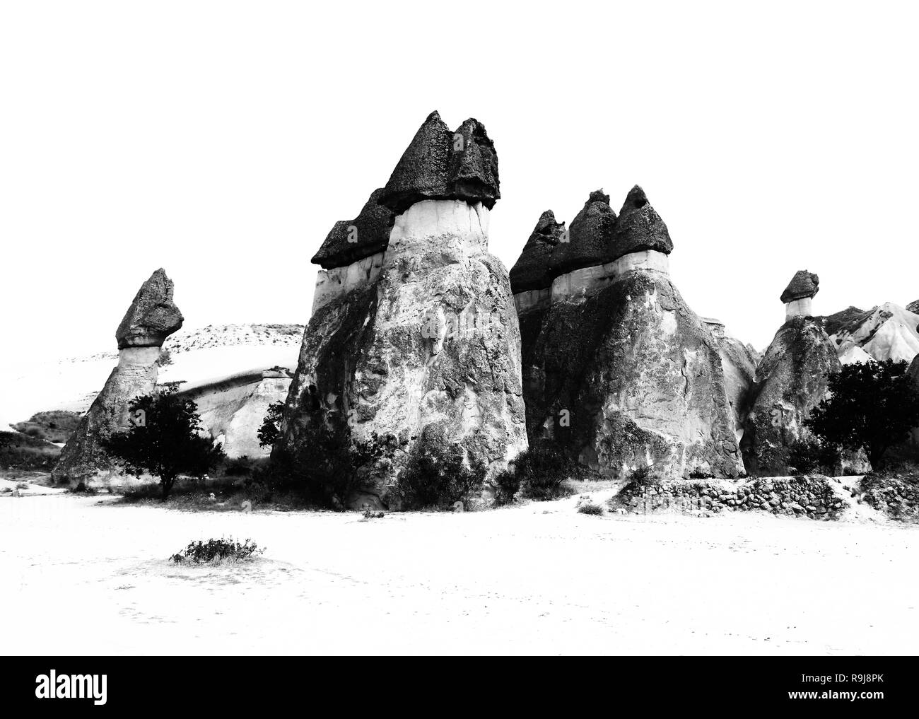 Interesting and unusual Black and White Stock Photos & Images - Alamy