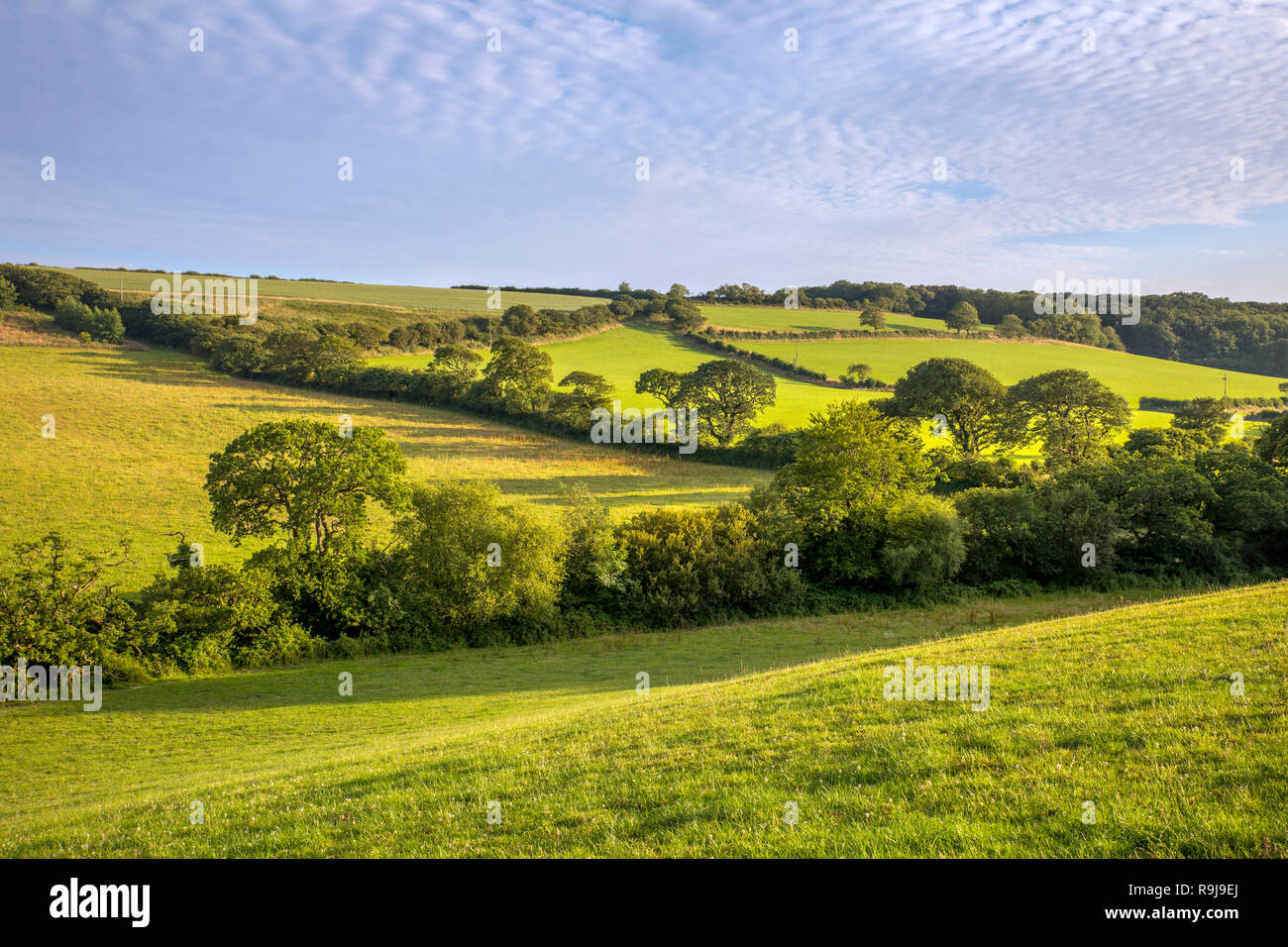 Green farm fields in valley hi-res stock photography and images - Alamy