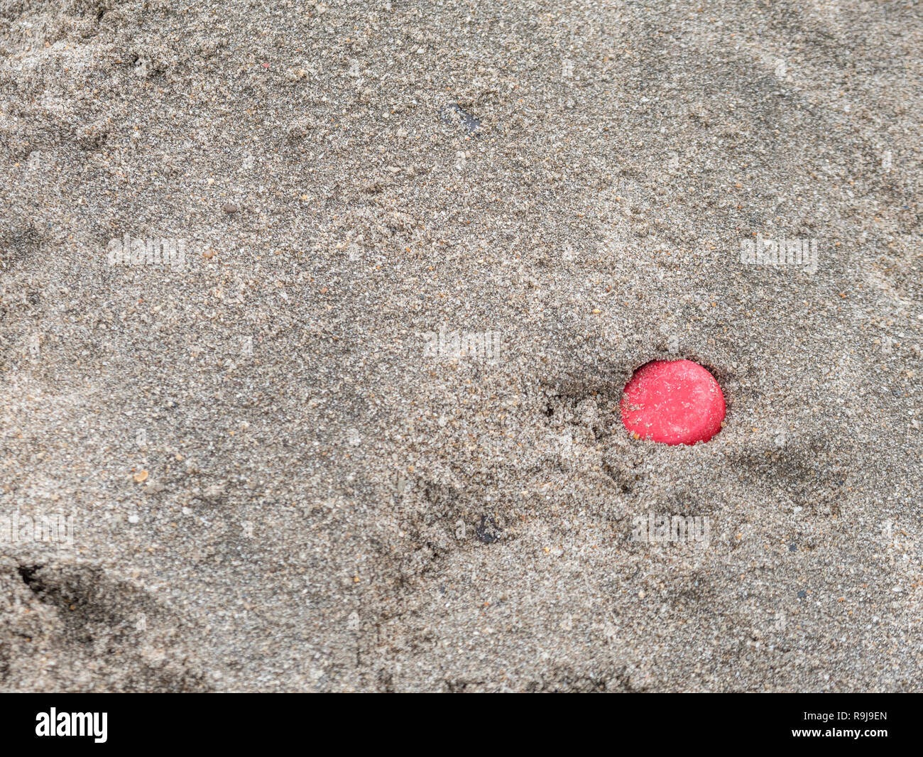Plastic red bottle cap washed up on shore & polluting shoreline ...