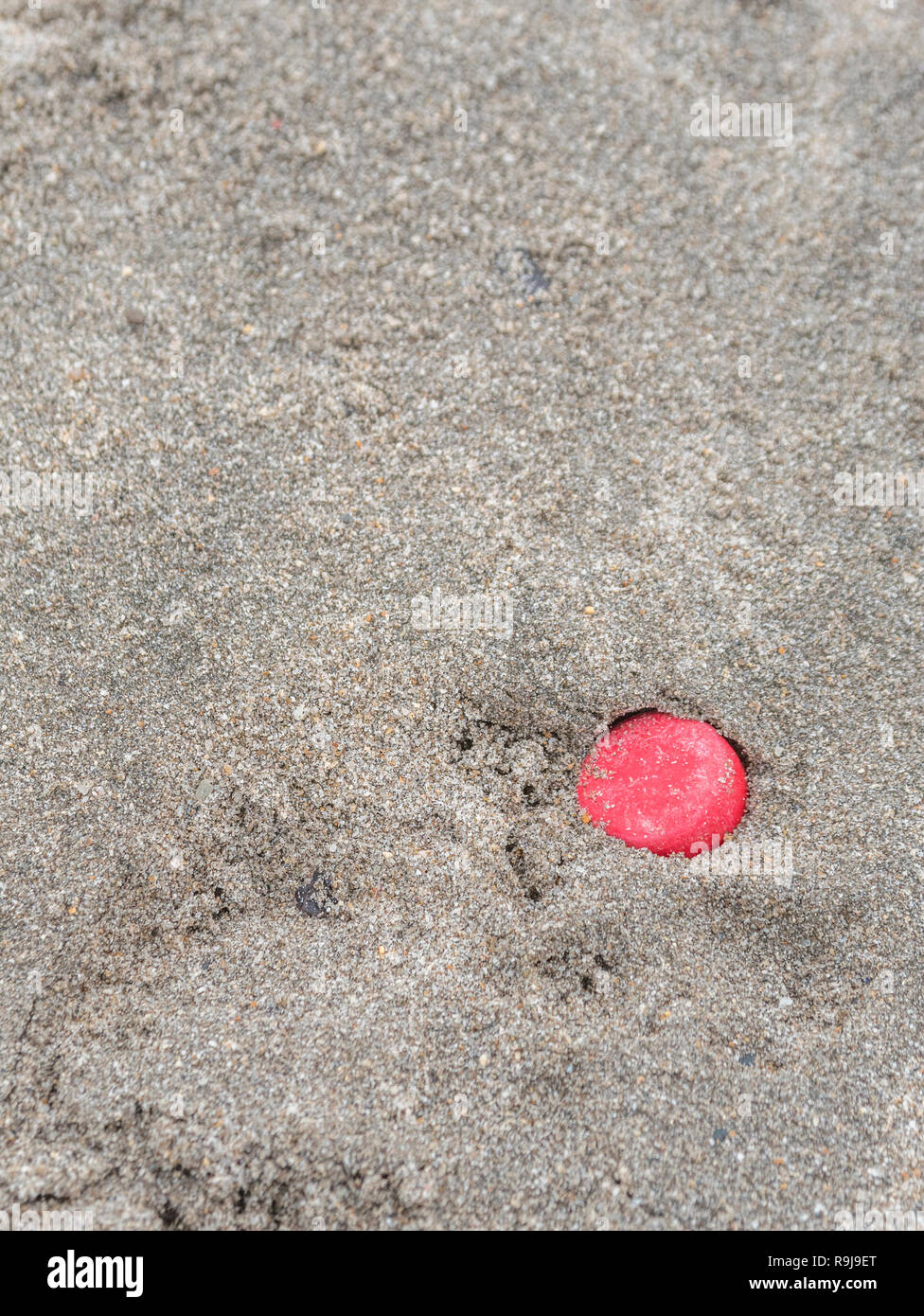Plastic red bottle cap washed up on shore & polluting shoreline ...