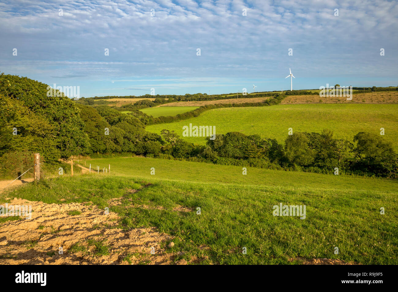 Cornwall agriculture hi-res stock photography and images - Alamy