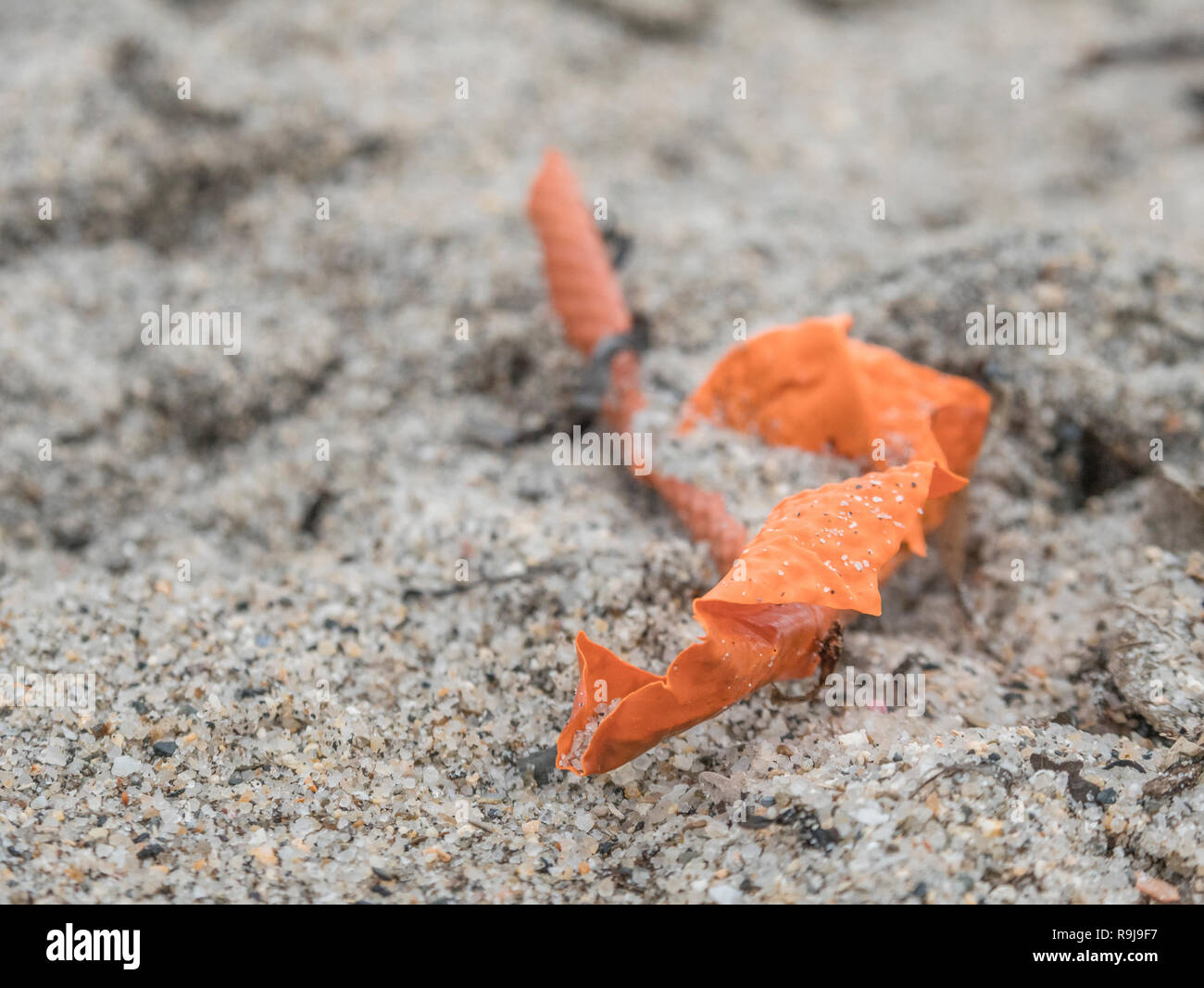 Plastic sheet pollution beach hi-res stock photography and images - Alamy