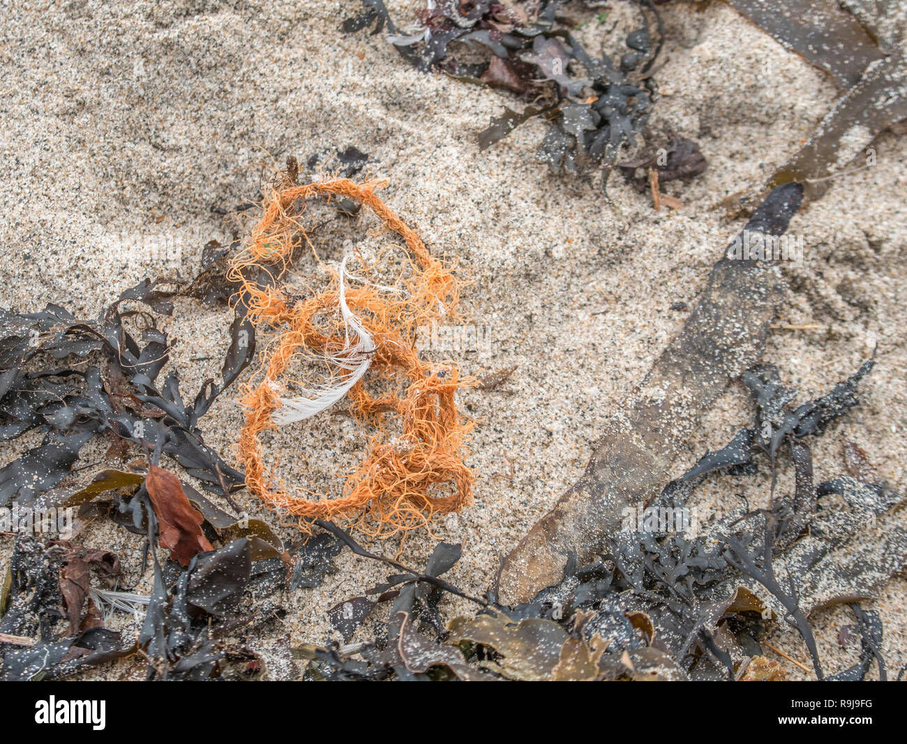 Polyester plastic rope / twine washed up on shore & polluting the ...
