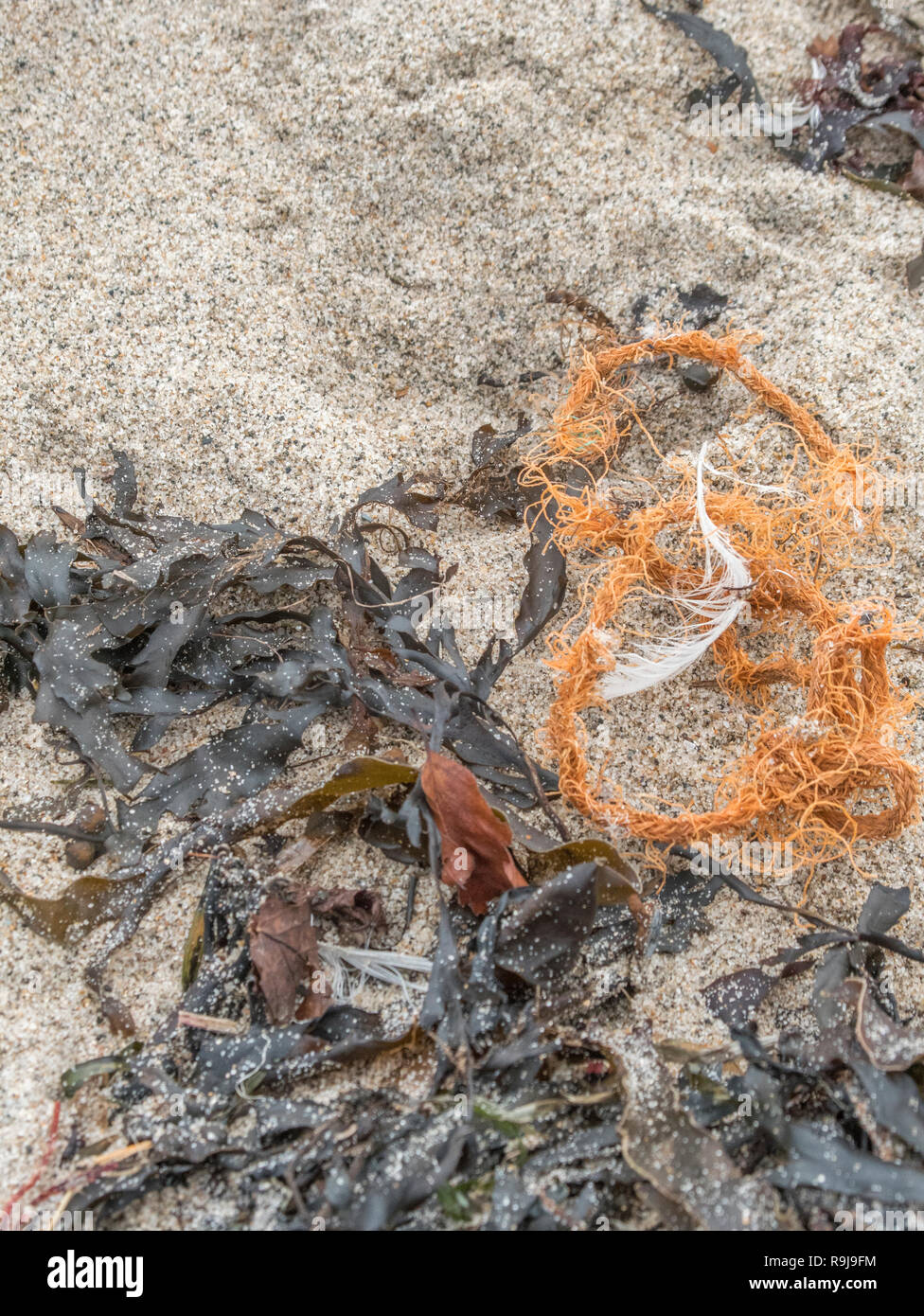 Polyester plastic rope / twine washed up on shore & polluting the ...