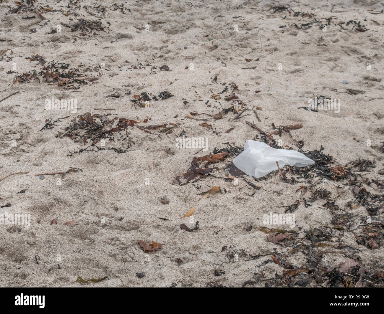 Plastic sheeting washed up on shore & polluting shoreline. Metaphor ...