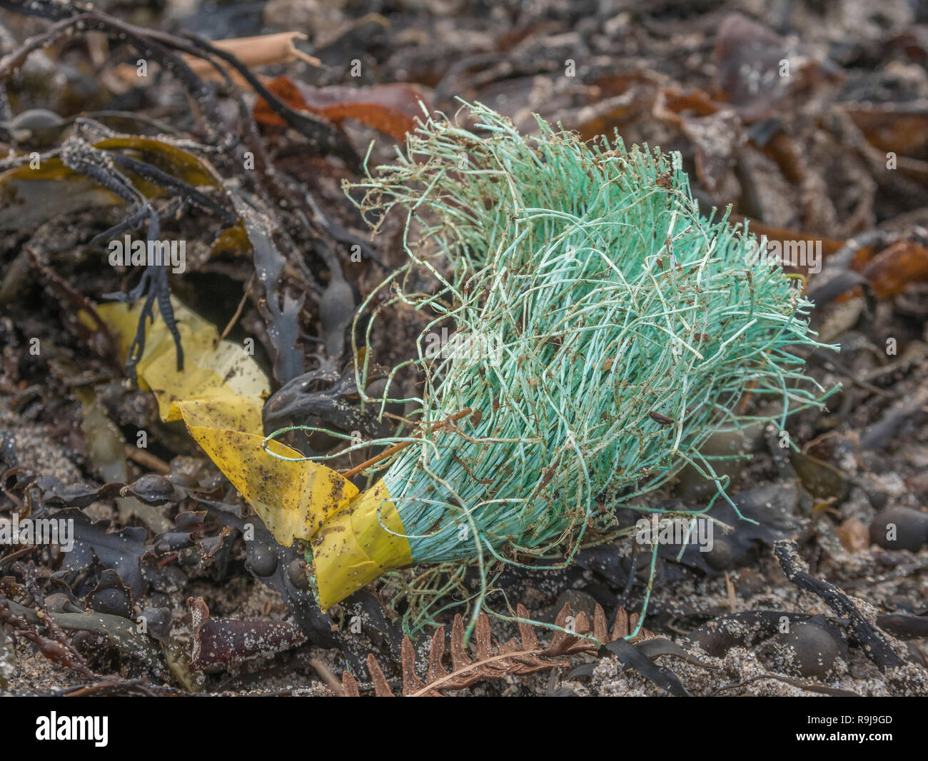 Polyester plastic rope / twine washed up on shore & polluting the ...