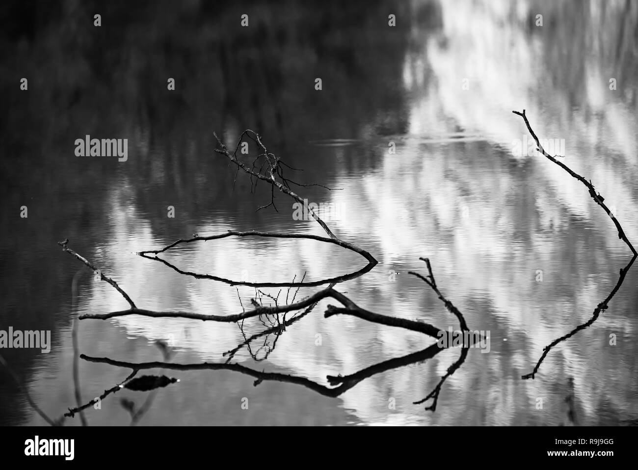 Spring season dry water Black and White Stock Photos & Images - Alamy