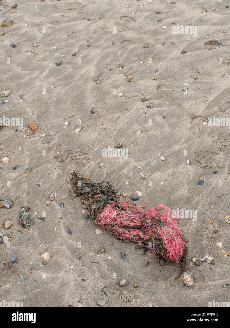 Polyester plastic rope / twine washed up on shore & polluting the ...