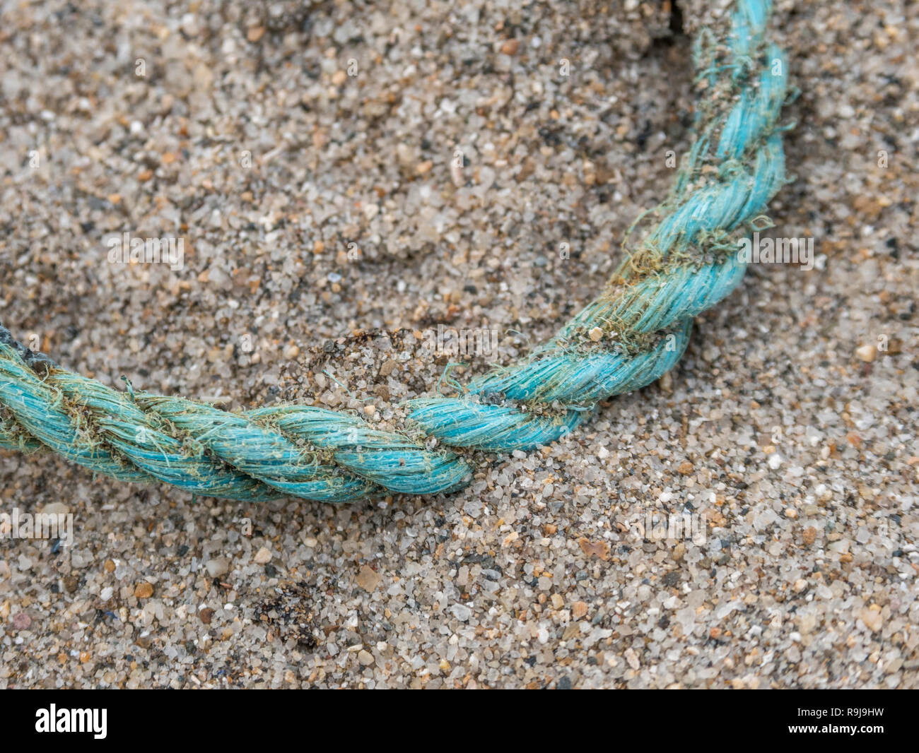 Polyester plastic rope / twine washed up on shore & polluting the ...