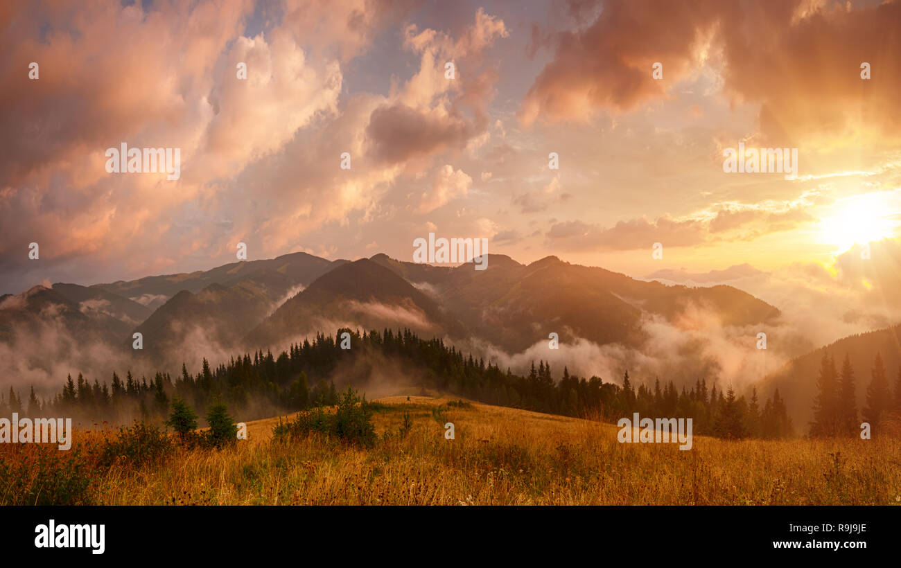 Foggy morning landscape Stock Photo - Alamy