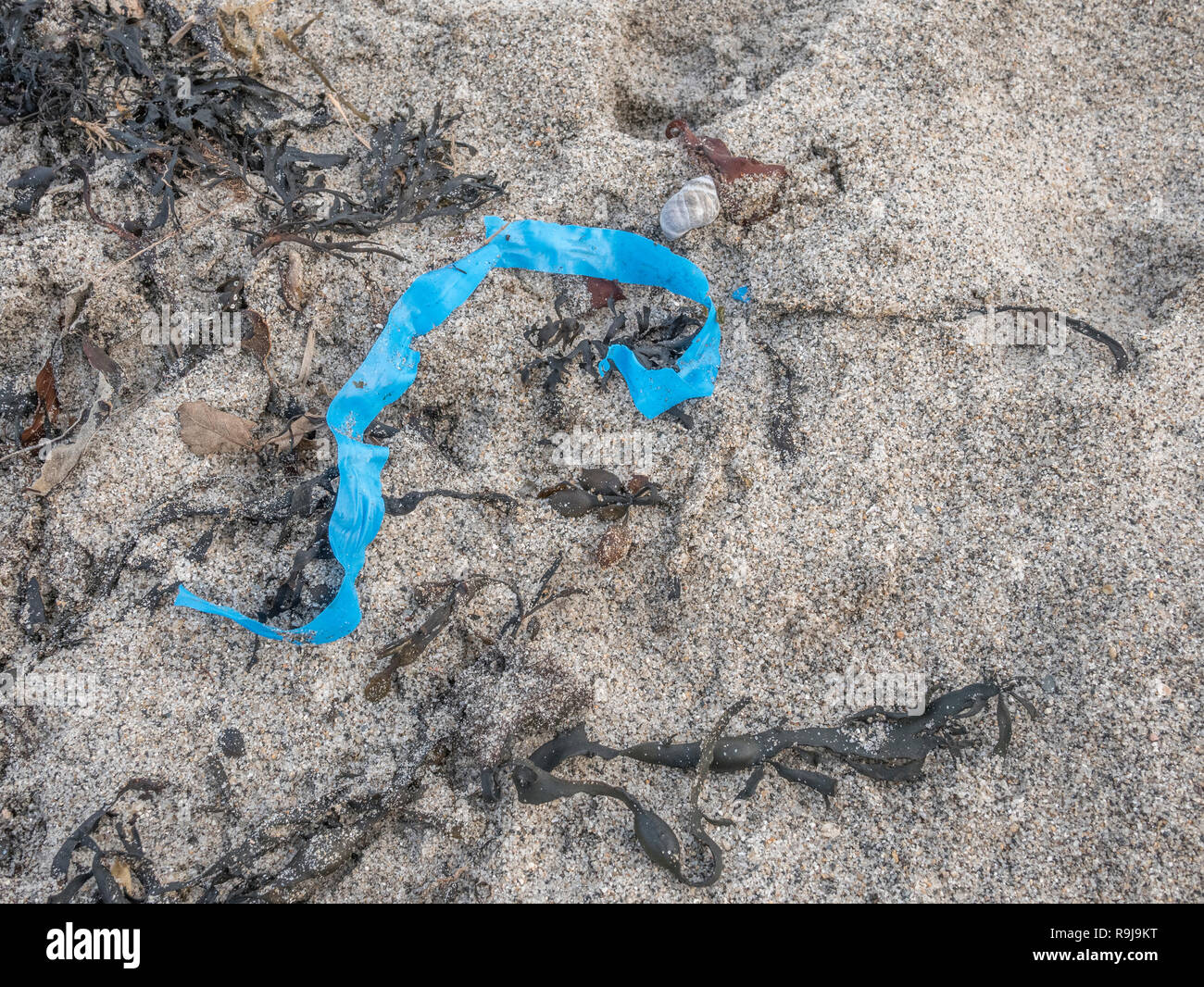 Polyester plastic twine strip washed up on shore & polluting the ...