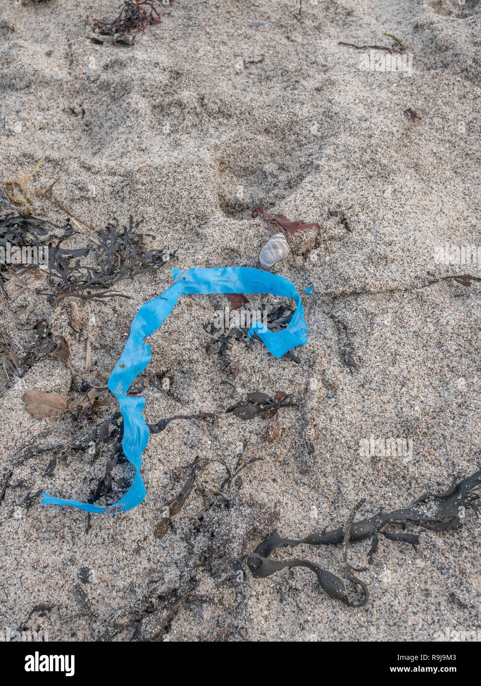 Polyester plastic twine strip washed up on shore & polluting the ...
