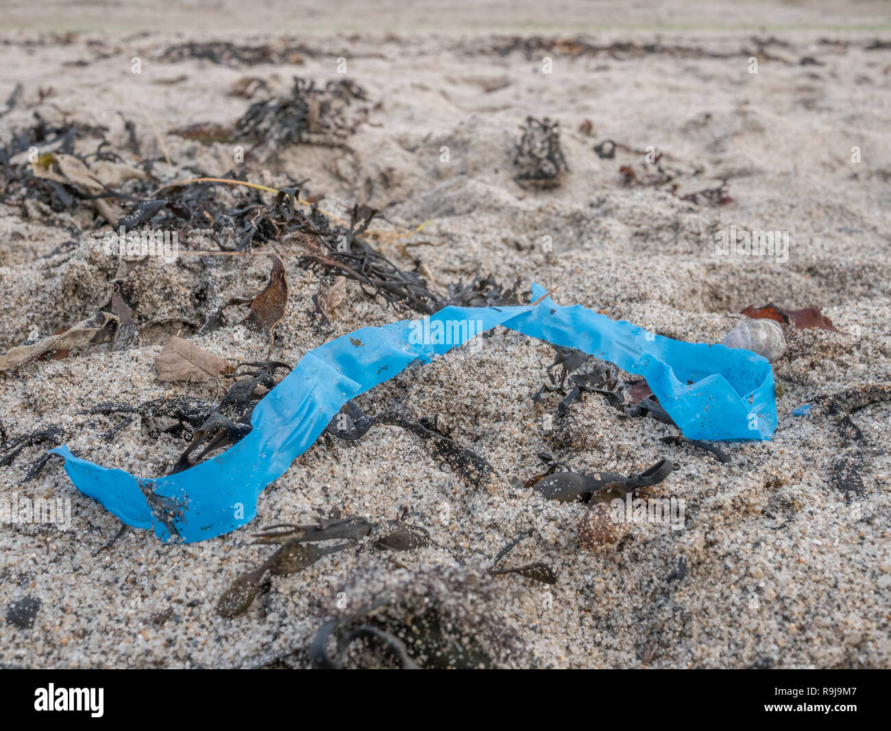 Polyester plastic twine strip washed up on shore & polluting shoreline ...