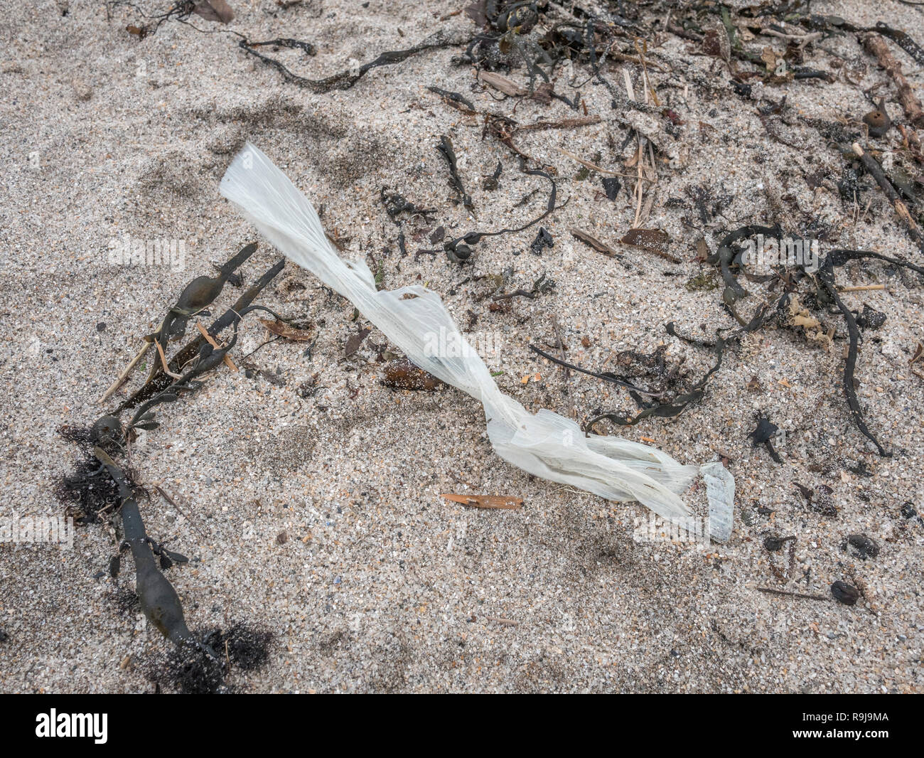 Plastic sheeting washed up on shore & polluting shoreline. Metaphor ...