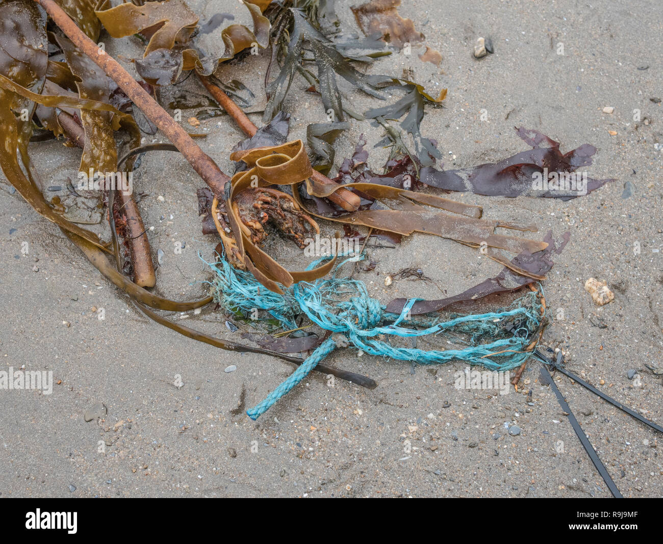 Polyester plastic rope / twine washed up on shore & polluting the ...