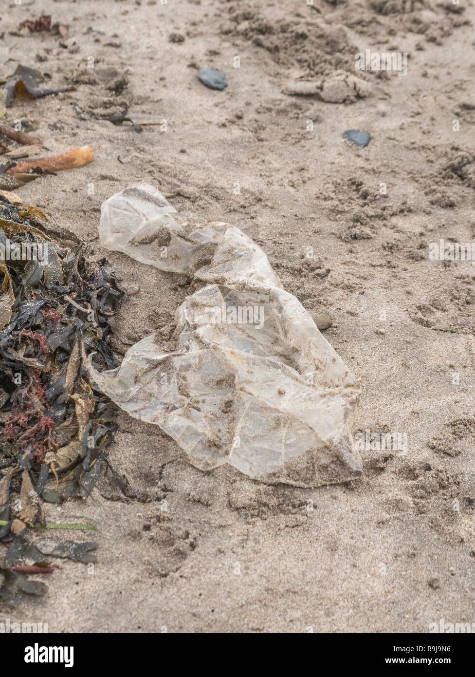 Plastic sheeting washed up on shore & polluting shoreline. Metaphor ...