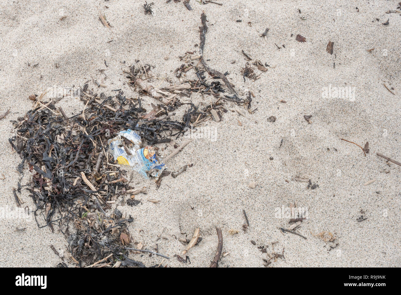 Plastic food wrapper of some sort washed up on shore & polluting the ...