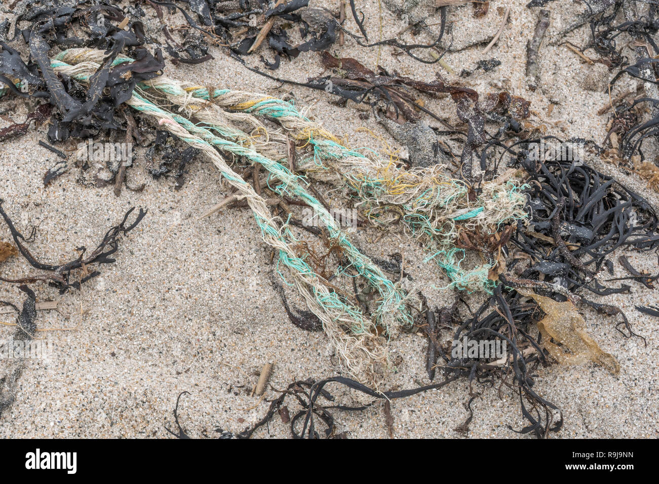 Polyester plastic rope / twine washed up on shore & polluting the ...