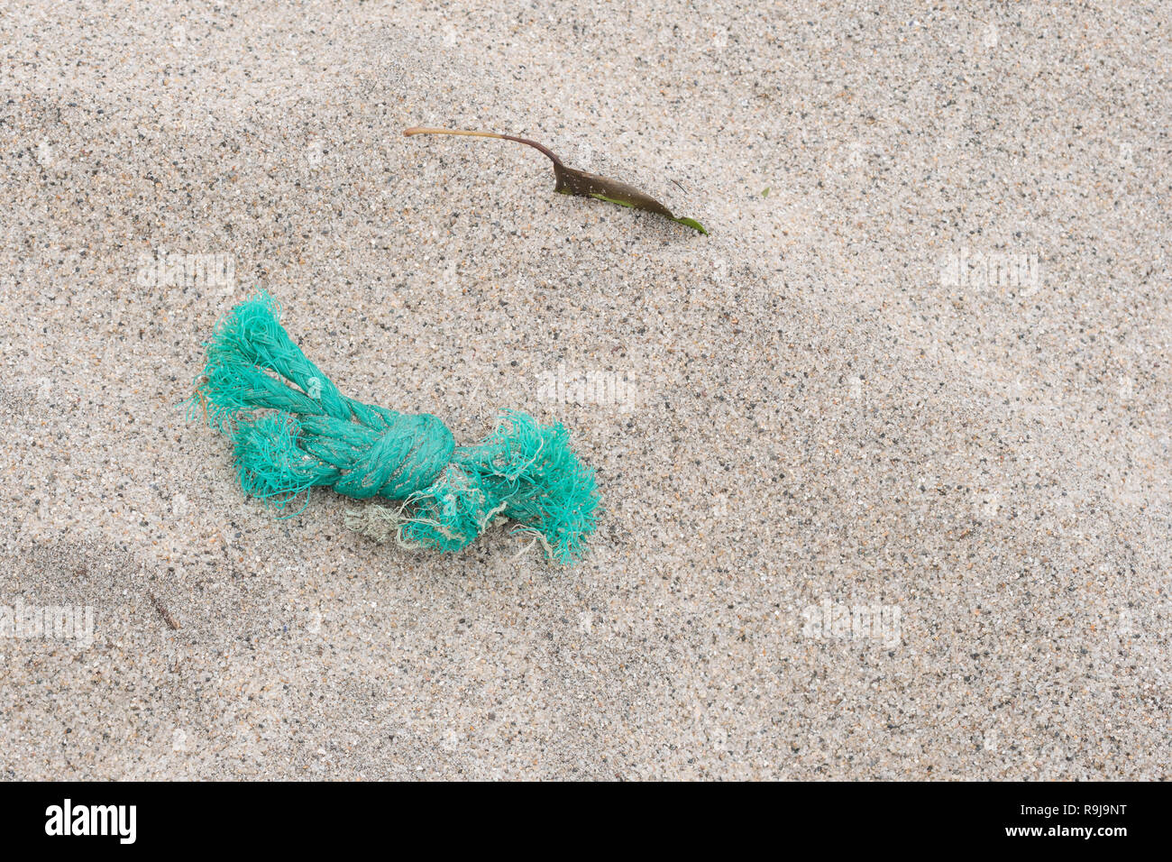 Polyester plastic rope / twine washed up on shore & polluting the ...