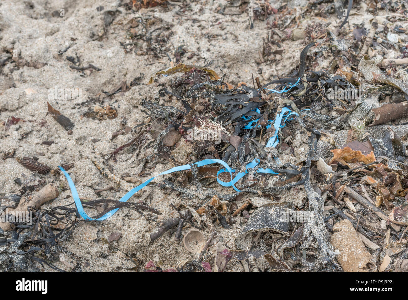 Polyester plastic rope / twine washed up on shore & polluting the ...