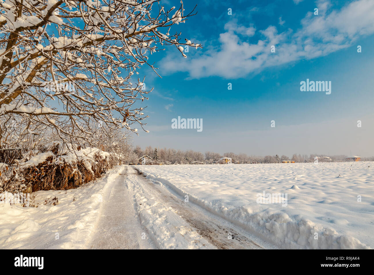 Serbia Winter Road High Resolution Stock Photography and Images - Alamy