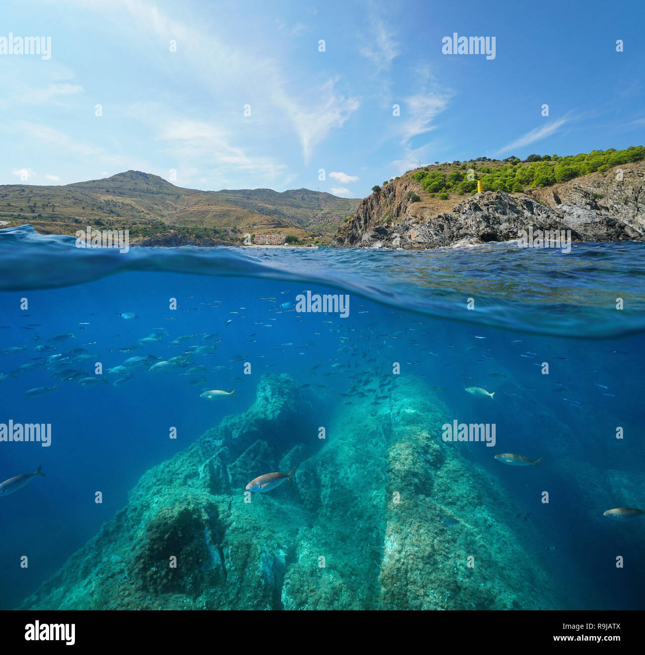 Marine level hi-res stock photography and images - Alamy