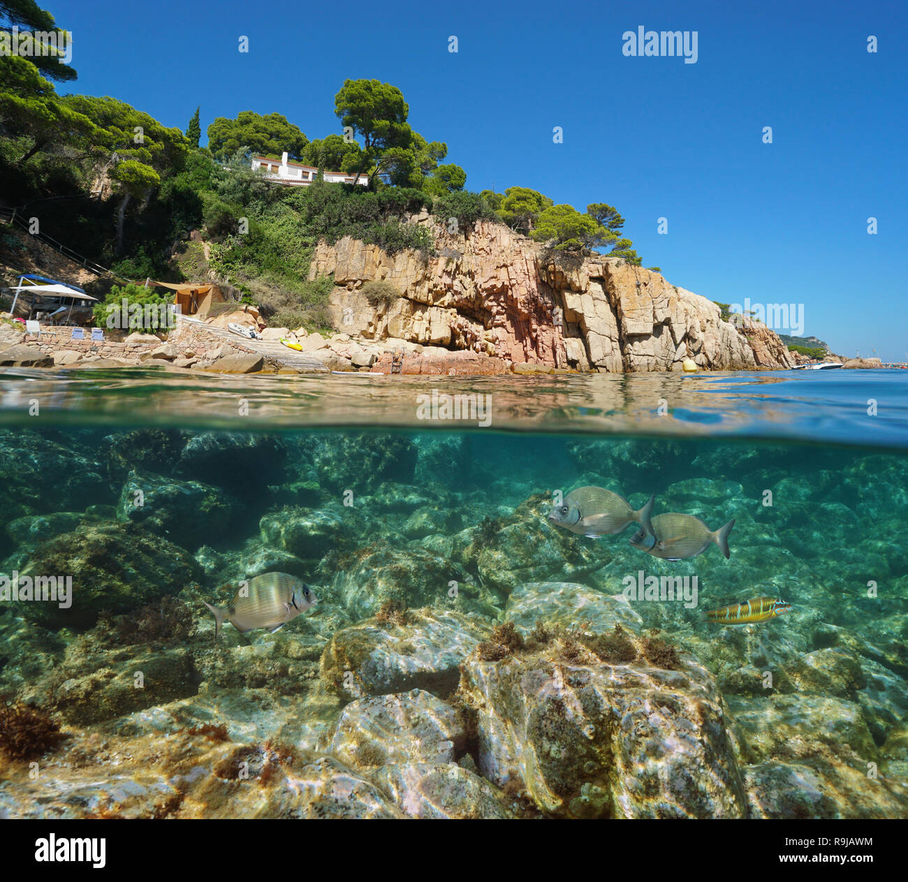 Spain Costa Brava rocky coast with fish underwater, split view half ...
