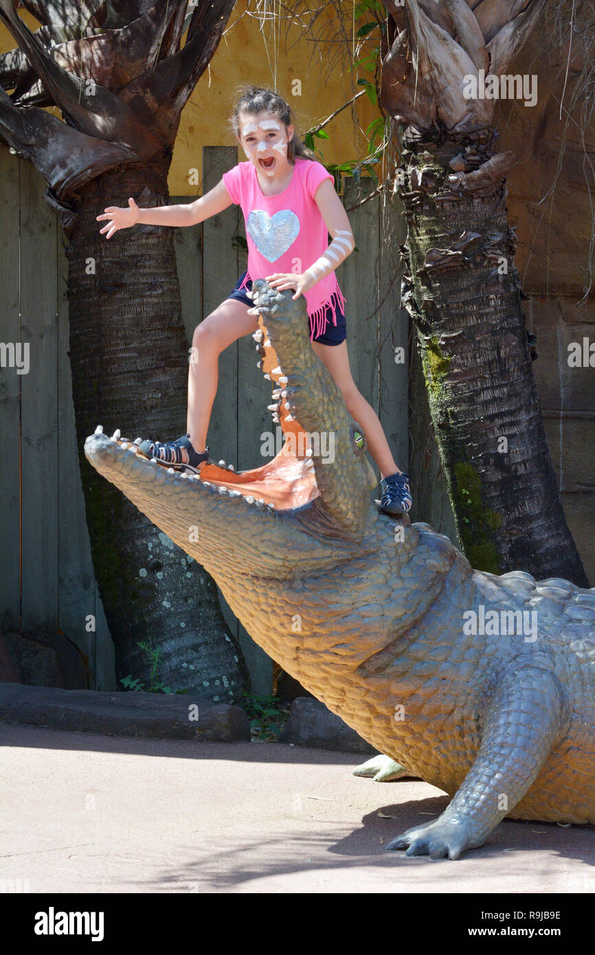 Saltwater Crocodile Gold Coast High Resolution Stock Photography and ...