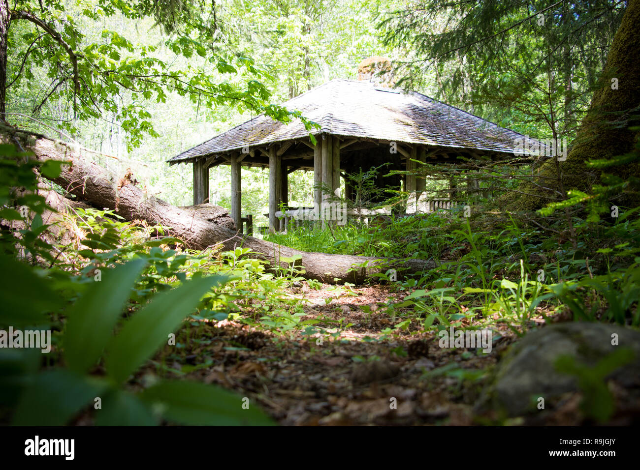Old Shack In Woods Stock Photos & Old Shack In Woods Stock Images - Alamy