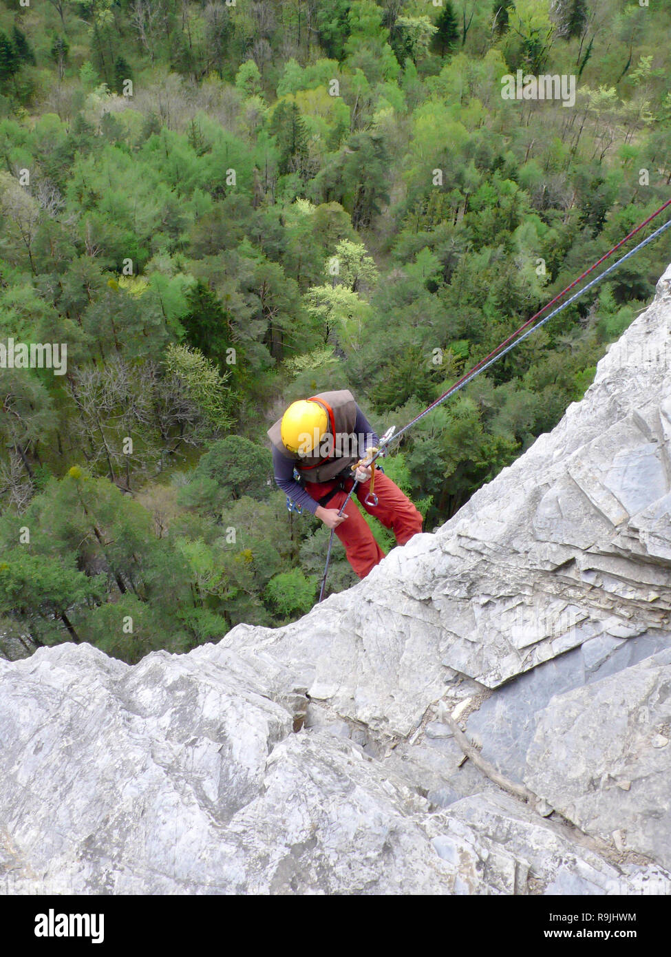 rock climber rappelling from a gray rock cliff into a lush green forest ...