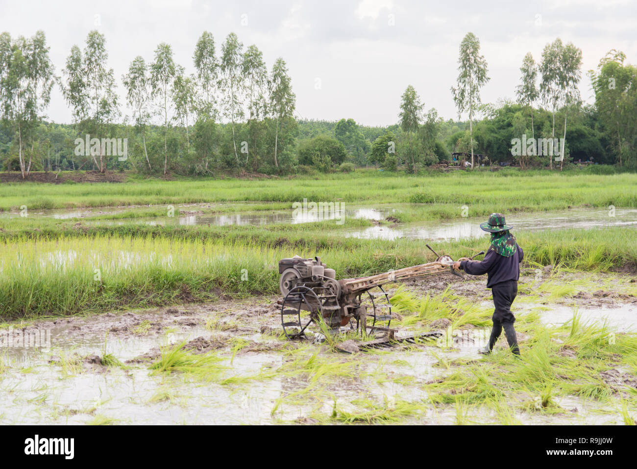 plows machine - Farmer using walking tractor plowing in rice field to ...