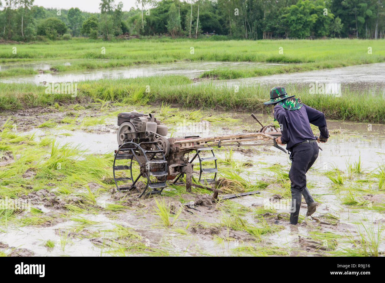 plows machine - Farmer using walking tractor plowing in rice field to ...