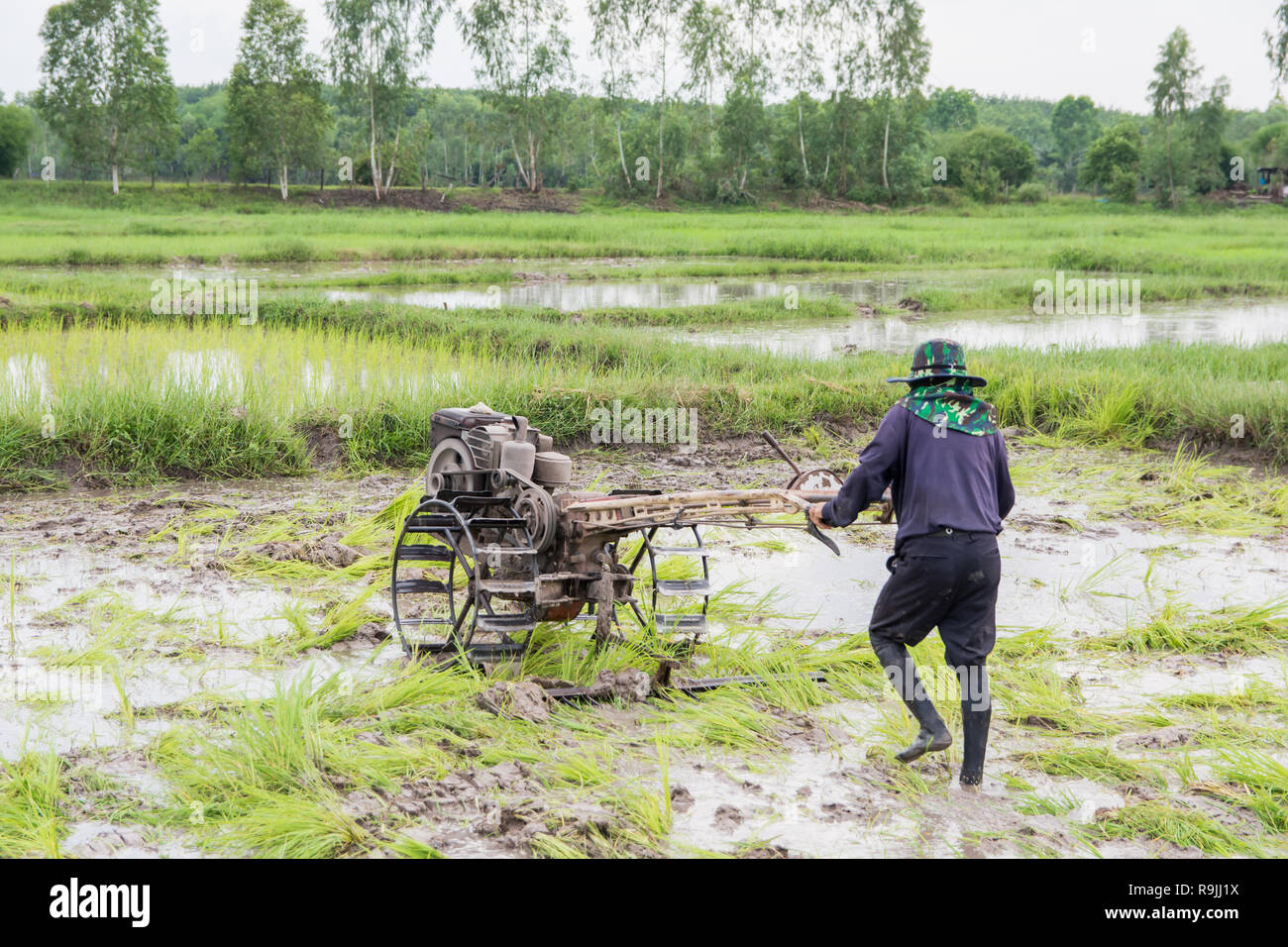 plows machine - Farmer using walking tractor plowing in rice field to ...