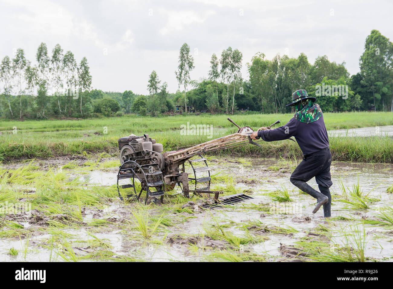 plows machine - Farmer using walking tractor plowing in rice field to ...