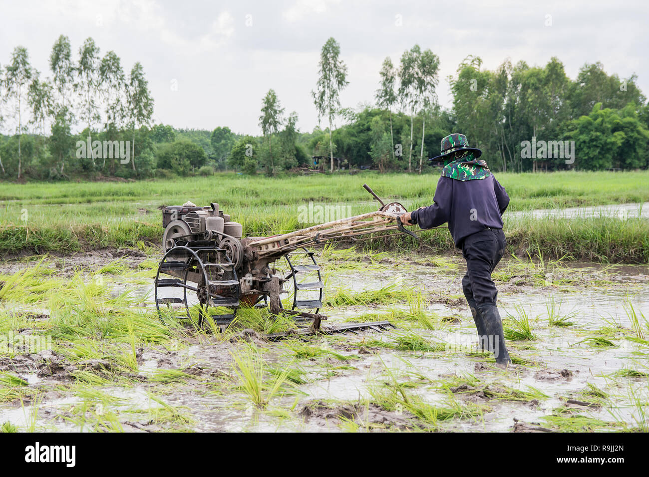 plows machine - Farmer using walking tractor plowing in rice field to ...