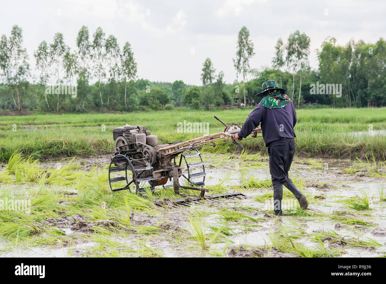 plows machine - Farmer using walking tractor plowing in rice field to ...