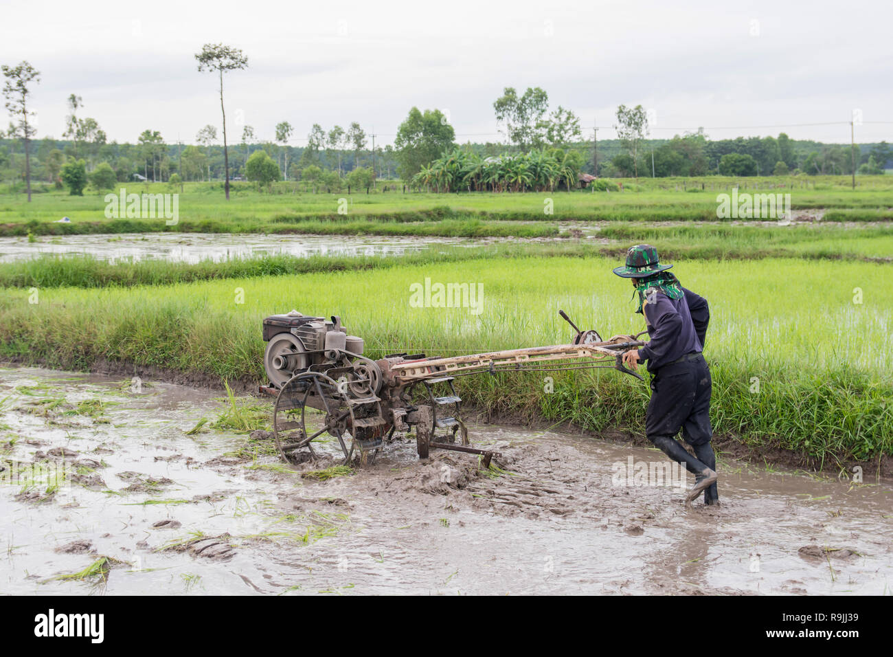 plows machine - Farmer using walking tractor plowing in rice field to ...