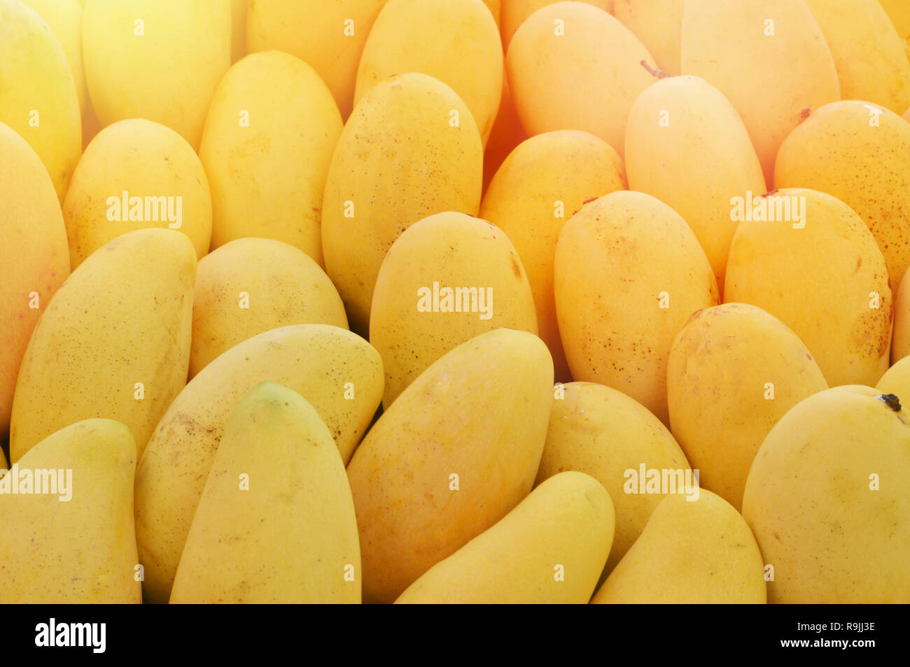 Mango texture background / Pile of Ripe fresh mango fruit yellow sweet ...