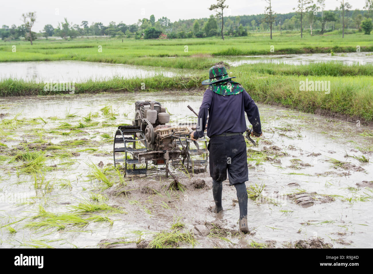 plows machine - Farmer using walking tractor plowing in rice field to ...