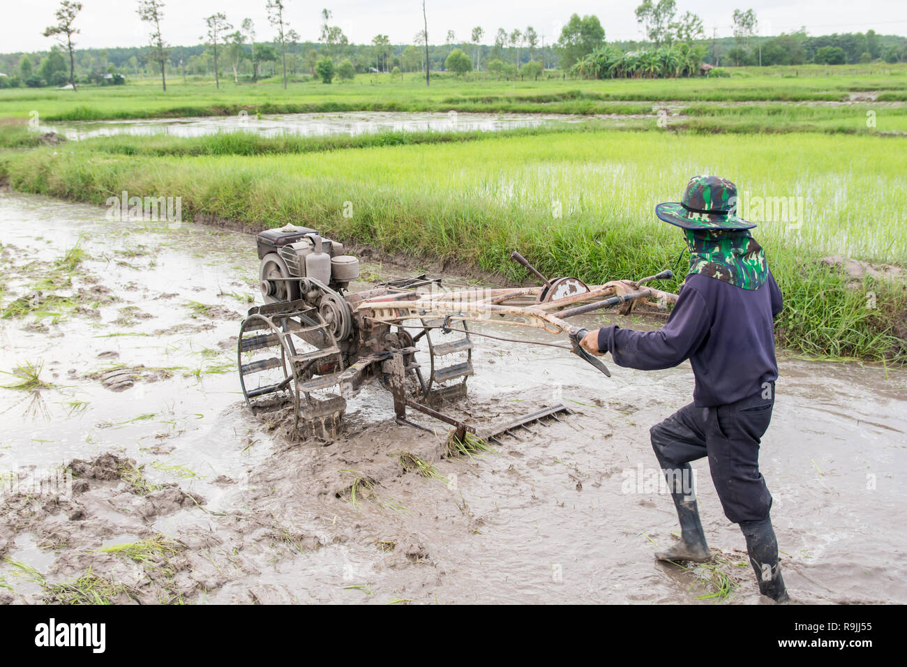 plows machine - Farmer using walking tractor plowing in rice field to ...