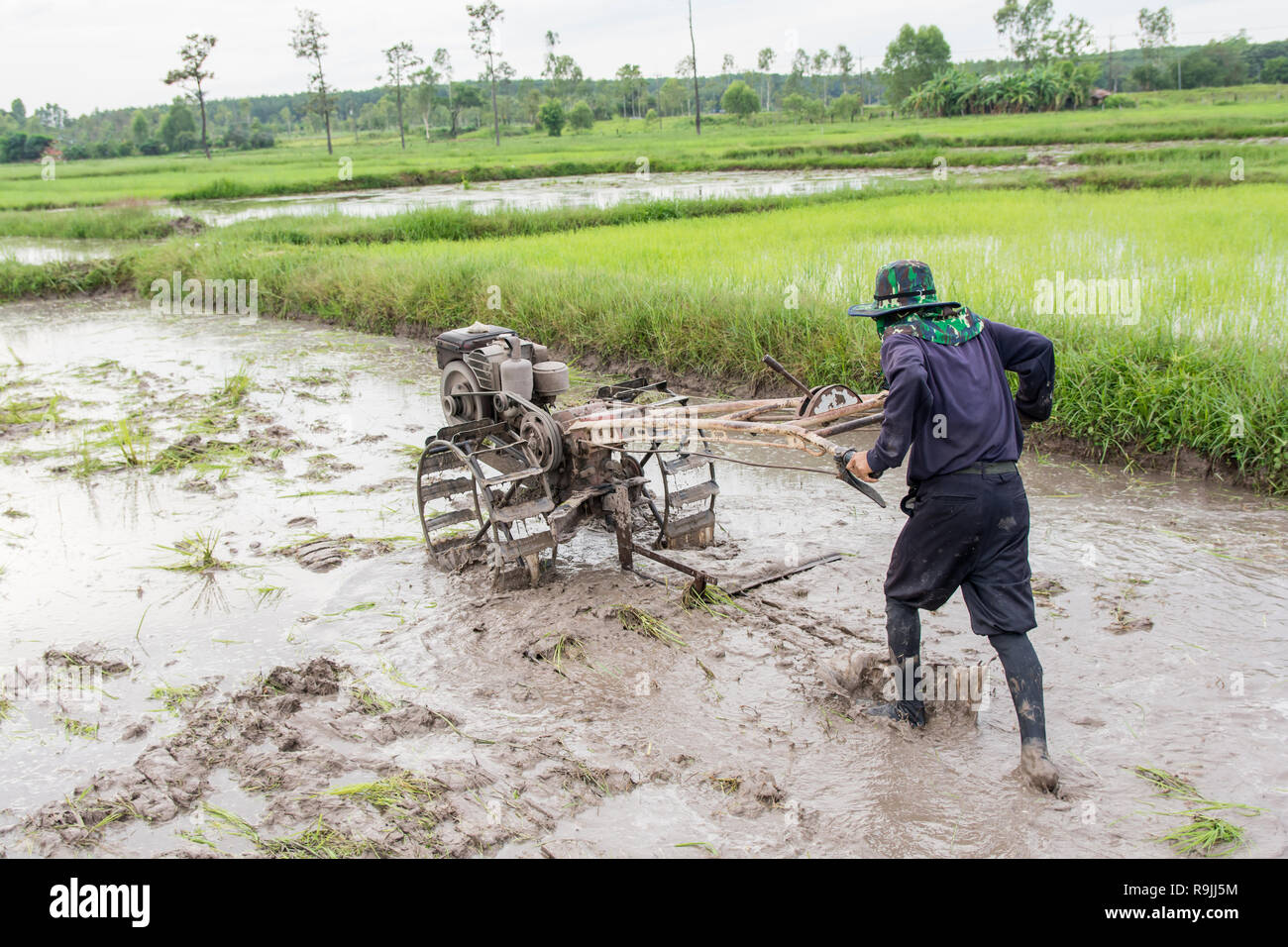 plows machine - Farmer using walking tractor plowing in rice field to ...
