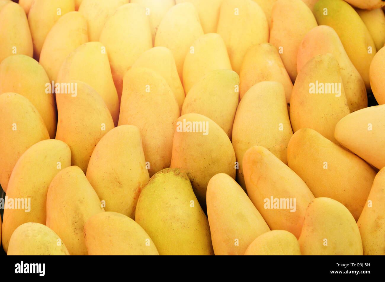 Mango texture background / Pile of Ripe fresh mango fruit yellow sweet ...