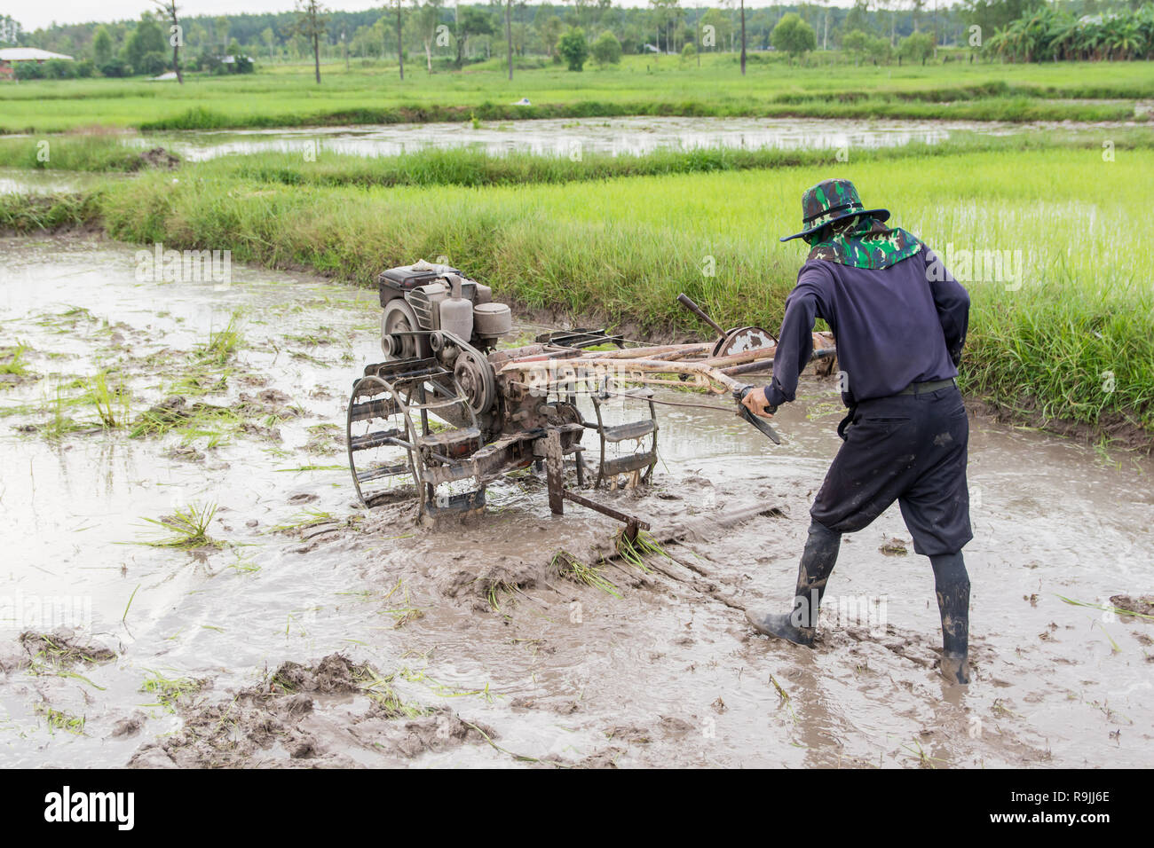 plows machine - Farmer using walking tractor plowing in rice field to ...