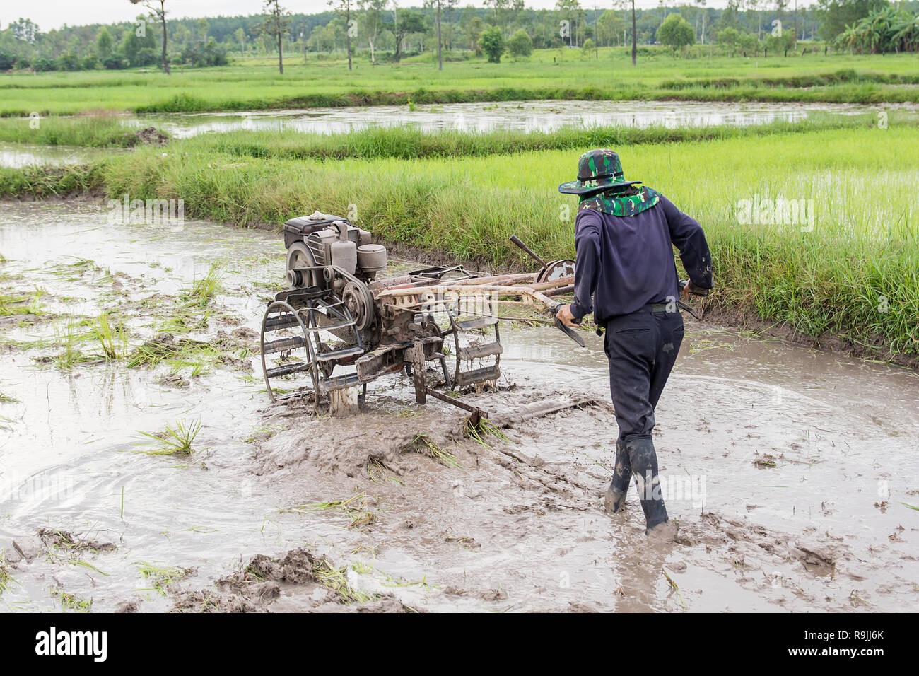 plows machine - Farmer using walking tractor plowing in rice field to ...