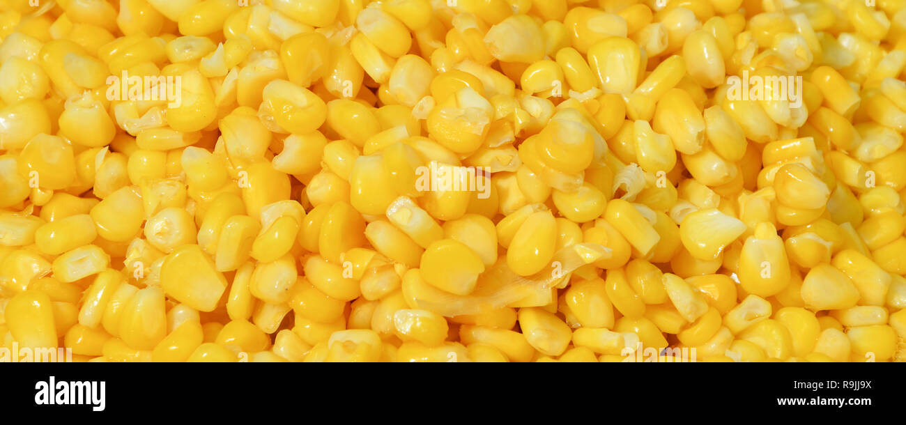 Corn texture seed corns yellow background - sweet corn slice cooking ...