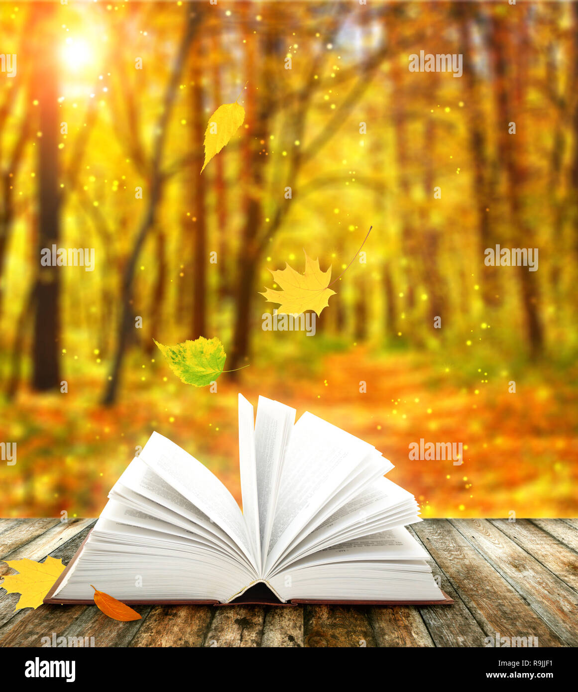 Book of nature on autumn forest background Stock Photo - Alamy